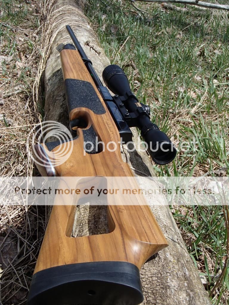 HW100 + Ginb = photo-op! - Canadian Airgun Forum