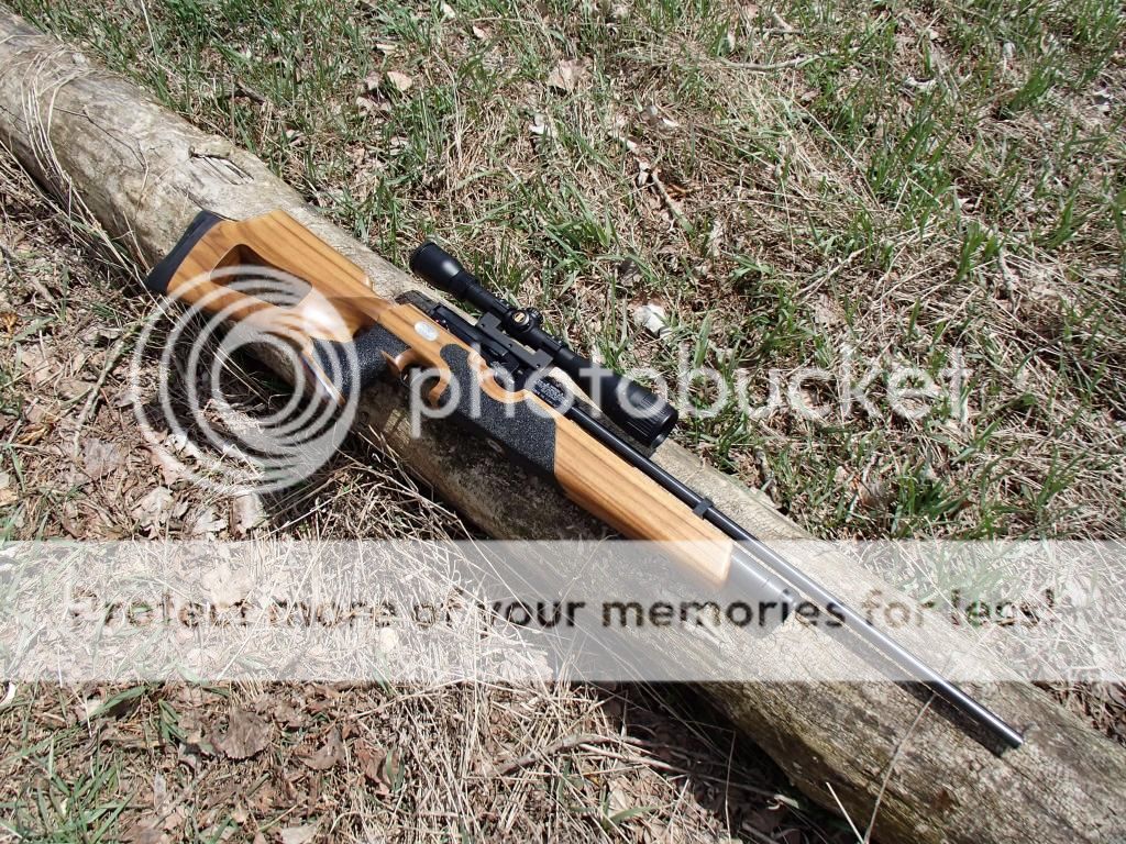 HW100 + Ginb = photo-op! - Canadian Airgun Forum